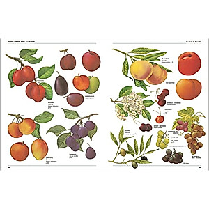 The Self-Sufficient Life and How to Live It: The Complete Back-to-Basics Guide