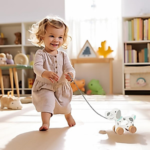 WoodenEdu Baby Toys Car,Wooden Pull Along Toddler Toy, Developmental Toy for 1 Year Old Girl Boy Birthday Gift (Dog)