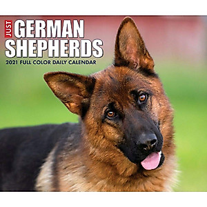 Just German Shepherds 2021 Box Calendar (Dog Breed Calendar)