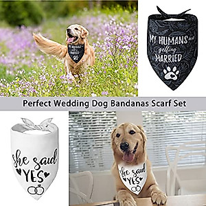 Dog Engagement Announcement, Will You Marry My Daddy Dog Bandana, Dog of Honor Bandana Wedding, Wedding Engagement Photos Pet Scarf Accessories for Small Medium Large Dog (White+Black)