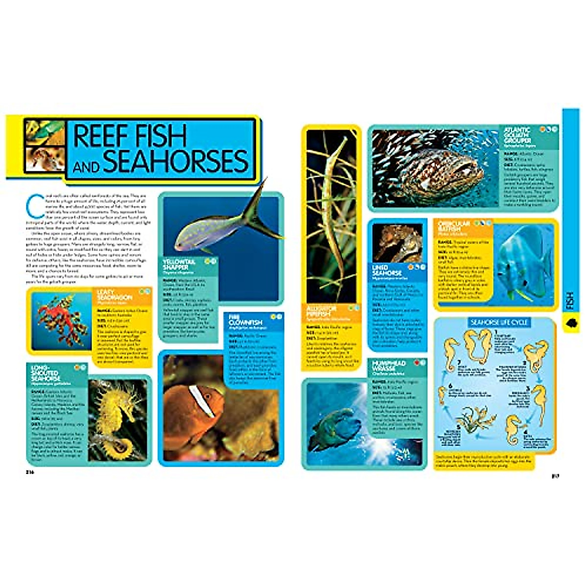 National Geographic Kids Animal Encyclopedia, 2nd Edition: 2,500 Animals with Photos, Maps, and More!