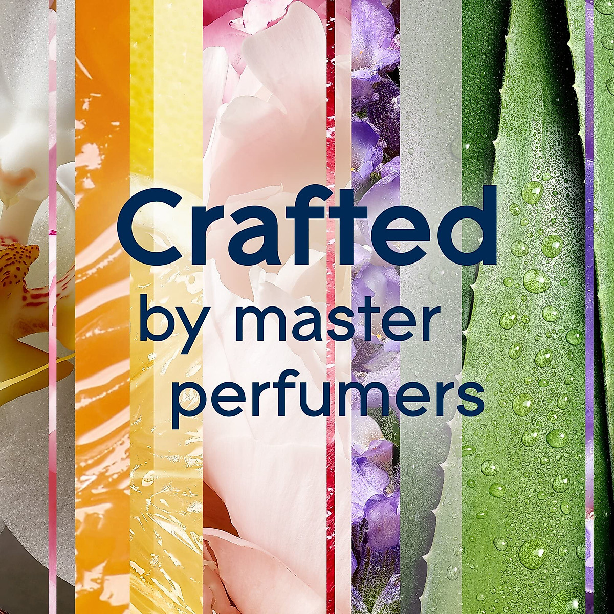 Glade PlugIns Refills Air Freshener, Scented and Essential Oils for Home and Bathroom, Vanilla Passion Fruit, 3.35 Fl Oz, 5 Count