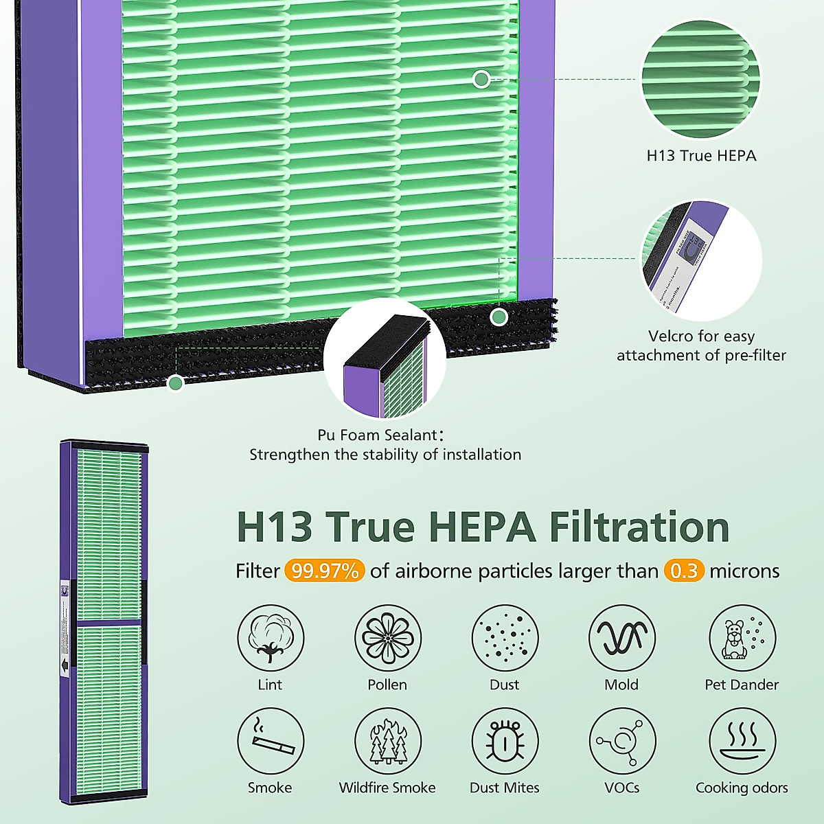 isinlive 2 Pack FLT5000 True HEPA Filter C Replacement with Pet Pure Treatment, and 8 Pack Activated Carbon Pre-Filters for Ger Guardian Air Purifier FLT5111 AC5000 AC5000E AC5250PT AC5350B AC5350BCA