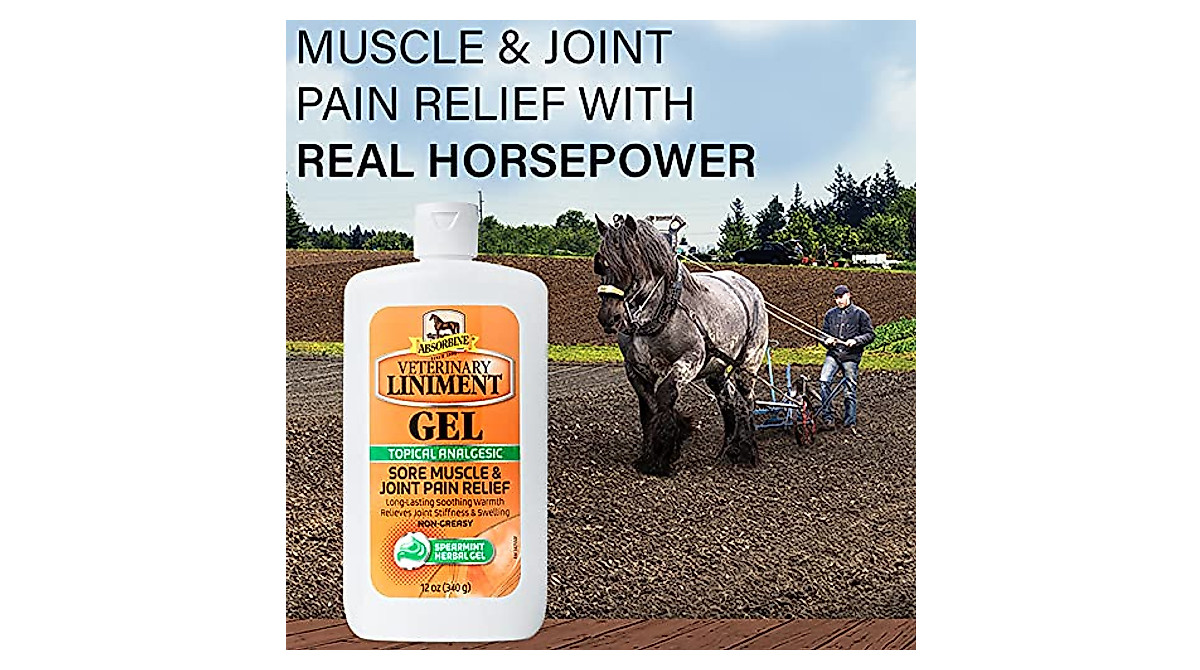 Absorbine Liniment Gel - Soothing Pain Relief for Joints