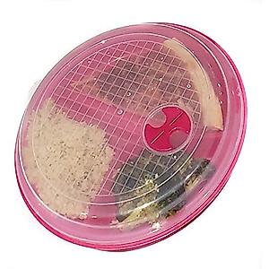 Dependable Industries inc. Essentials 2 Pack Vented Microwave Lunch Plates with Lids 3 Section Storage BPA Free