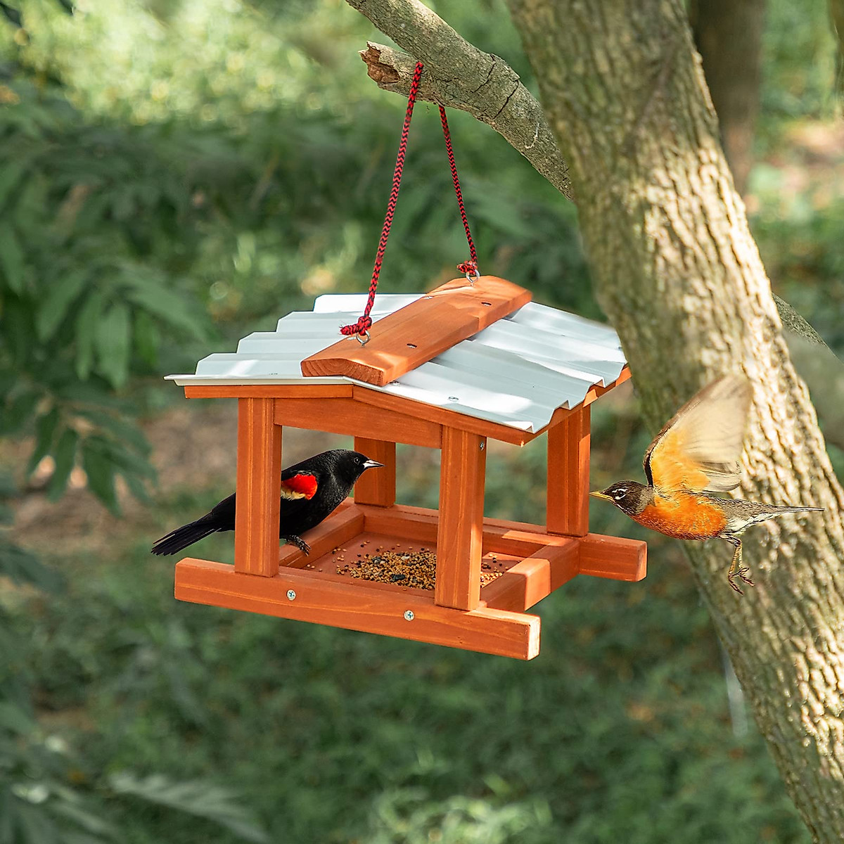 PETSFIT Wooden Bird Feeder, Fly Through Platform with PVC Roof for Outside Hanging, Garden Backyard Decor, Great for Attracting Birds, Gift for Bird Lovers