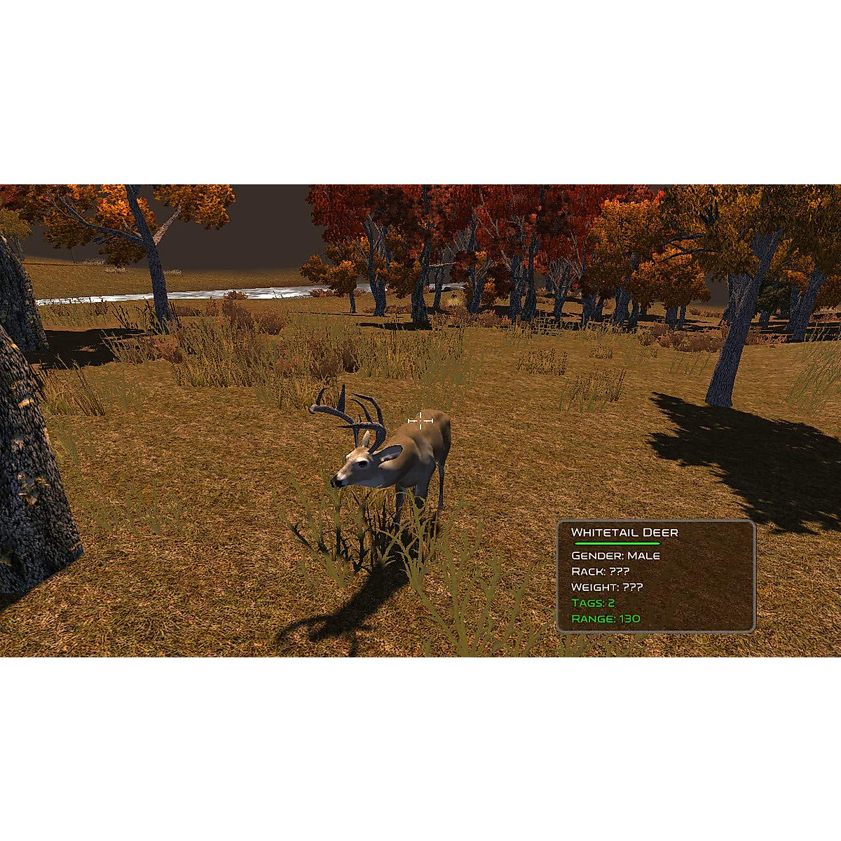 Cabela's The Hunt - Championship Edition (Nintendo Switch)