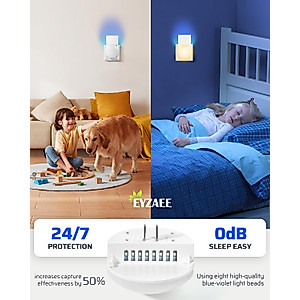 Eyzaee Fruit Fly Traps for Indoors, 2 in 1 Flying Insect Trap Blue Light Plug in Bug Catcher with Warm Night Light Effective Insect Control for Home-Odorless and Mess Free(1 Device + 5 Glue Boards)