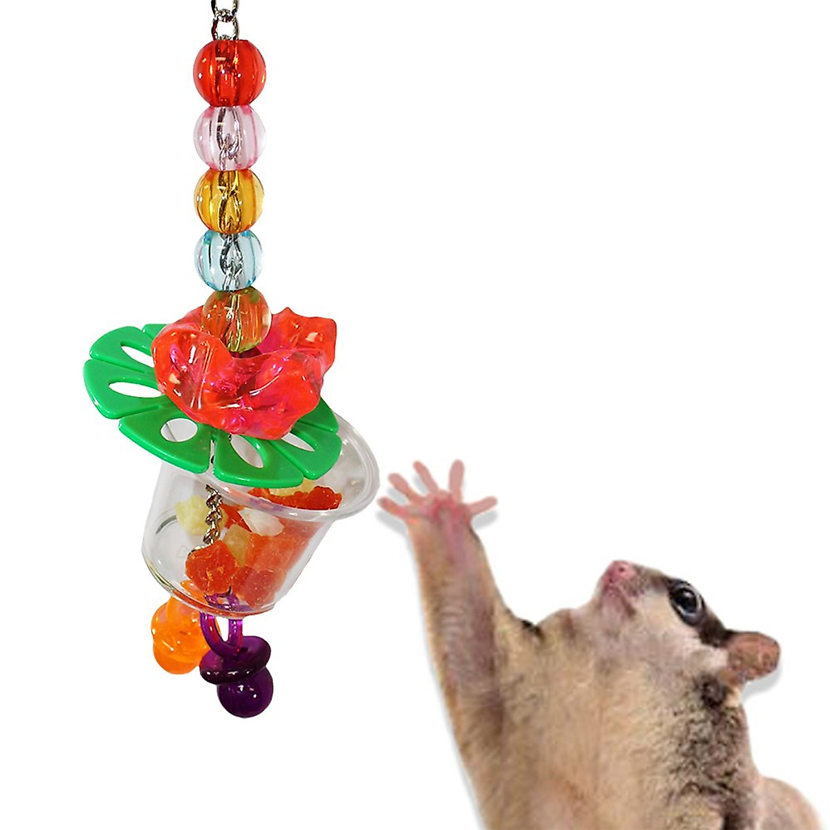 Cage Enhancement Set - Interactive Climbing Foraging Natural Branch Perch Cage Accessory Toy Bundle - for Sugar Gliders, Rats, Ferrets, Hamsters, Squirrels, Parrots, Birds, Marmosets, Degus, Monkeys