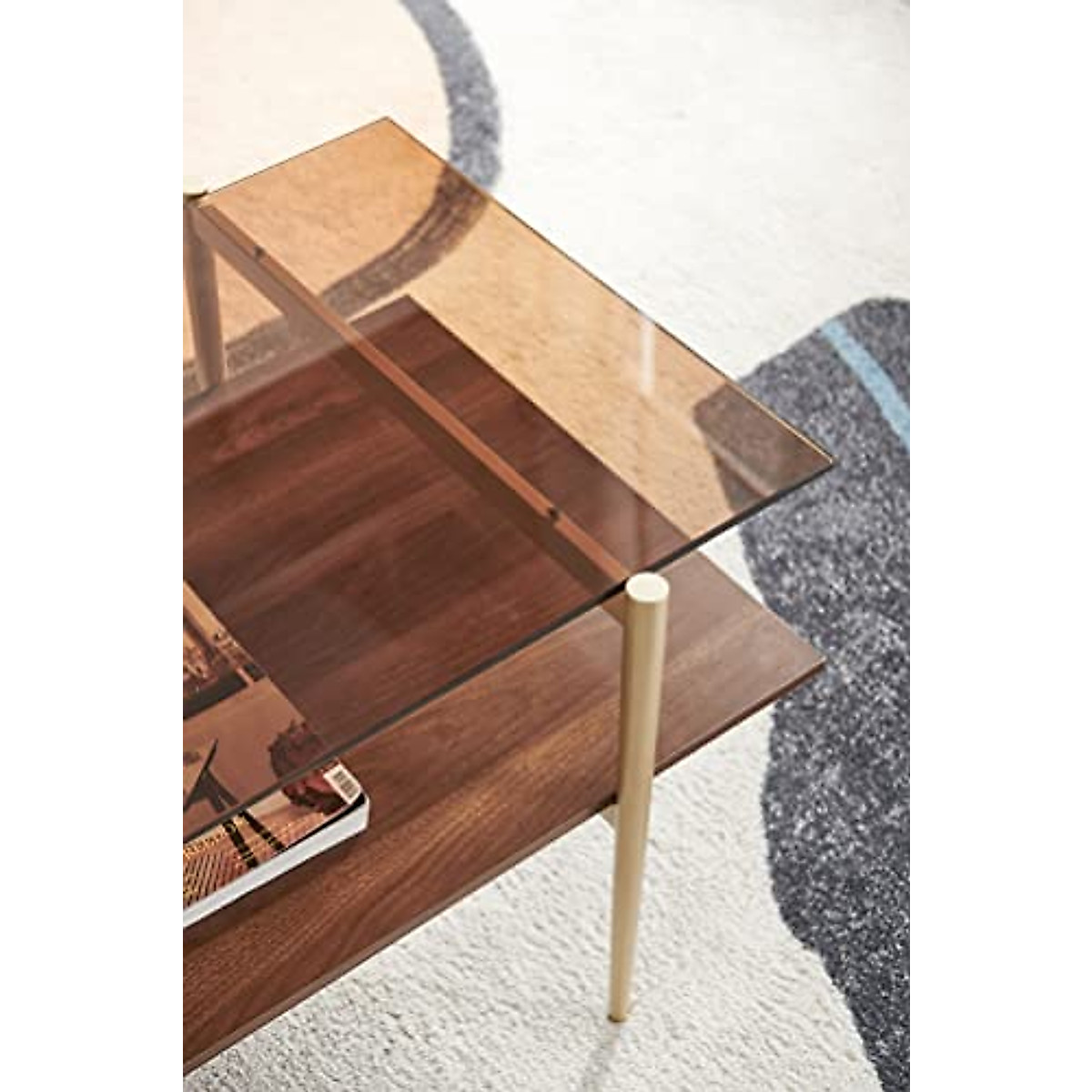 AGV LIGHTING 202206 Tadio Glass Coffee Table, Double Layer Coffee Table for Living Space, Gold Finish Frmae, Coffee Brown Glass Top & Walnut Brown Wood Top