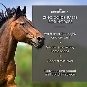 EQUIDERMA Zinc Paste