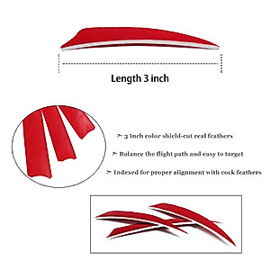 M.SJUMPPER ARCHERY Arrows 3 Inch Real Feathers Fletching with Shield Cut for DIY Hunting Shooting Shafts (36 Pack) (Red)