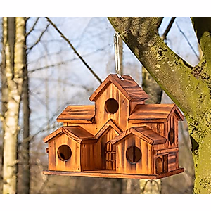 COLEBA Bird Houses for Outside,Outdoor 5 Hole Bird House Room for 5 Bird Families Bluebird Finch Cardinals Hanging Birdhouse for Garden (Brown - Set of 1)