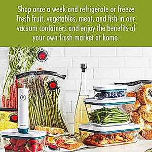 ZWILLING Fresh & Save Airtight Food Storage Container, Small, La Mer