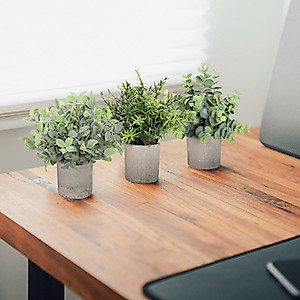 Artificial Plants 3 Pack Mini Fake Plants Fake Hanging Plants Artificial Decor with 3 Macrame Plant Hangers Decorative Plants Faux Hanging Plants Greenery Decor for Wall Kitchen Bathroom Home Office