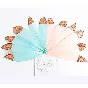 Hapy Shop Feather Garland Pale Pink and Blue Feather Banner,Gold Glitter for Party Decorations,Wedding,Boho Chic,10 feet