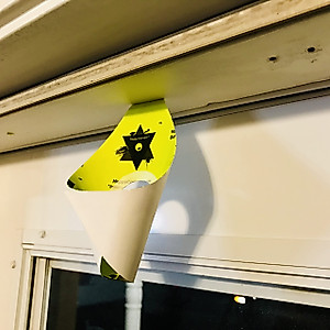 5 in 1 Glue Traps- Insect and Pest Control Sticky Traps (15 Total Traps)