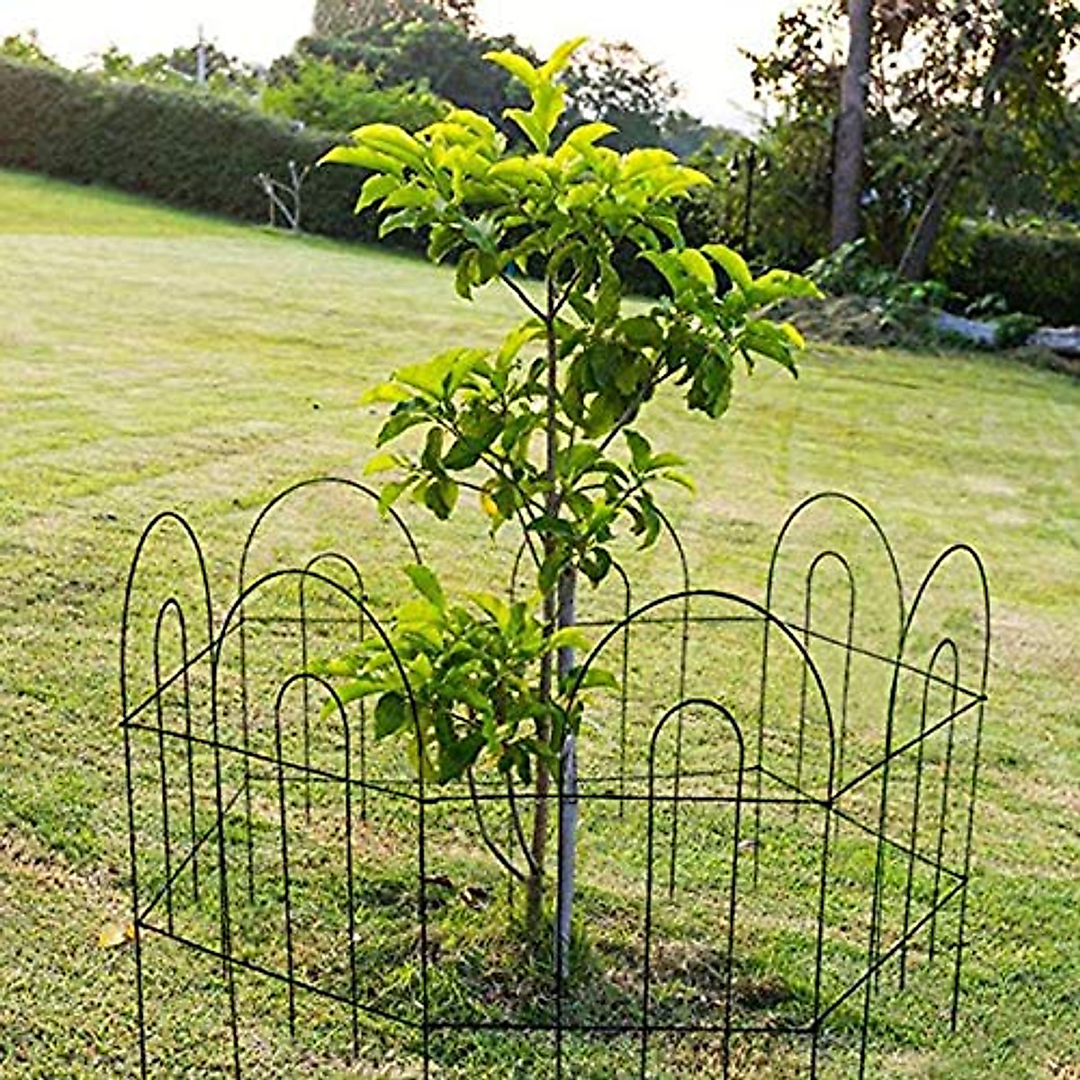 MTB Green Garden Border Folding Fence Lawn Yard Fence 24 Inch x 10 Feet,Pack of 5 set, Overall Length 50 Feet,Landscape Panel,Folding Patio Fences Flower Bed Pet Barrier Section Panel Decorative Fence