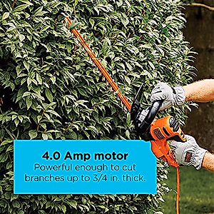 BLACK+DECKER Electric Hedge Trimmer, 22-Inch Blade, Corded (BEHT350FF)