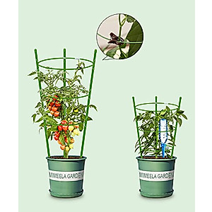 4 Pack Garden Plant Support Tomato Cage, Upgrade 24" Trellis for Climbing Plants, Plant Trellis Kits with 4 Self Watering Spikes and 20 Plant Clips (24")