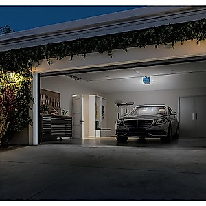 Chamberlain CHLED1 LED Light Bulb, 1 Count (Pack of 1), White