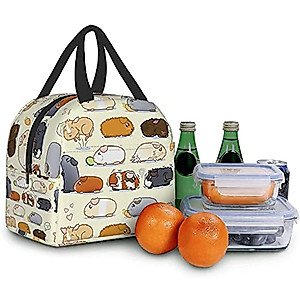 Xuhua Guinea Pig Parade Lunch Bag Boxes Tote Insulated Reusable,Lunch Bag Lunchbox Durable Waterproof Zipper Hangbag Portable for Boys Girls School Supplies