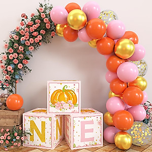 Fall Pumpkin First Birthday Balloon Boxes One Box Blocks Decorations Thanksgiving Birthday Cake Smash Party Photo Props Backdrop (Pink)