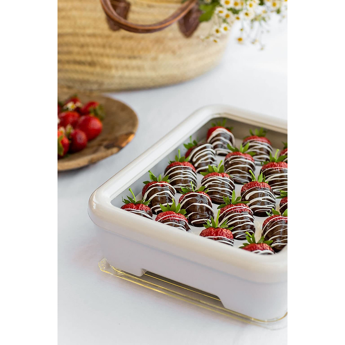 Fancy Panz Deviled Egg Trayz Insert for use with Fancy Panz Classic, Premium & 2in1. Holds 20 eggs