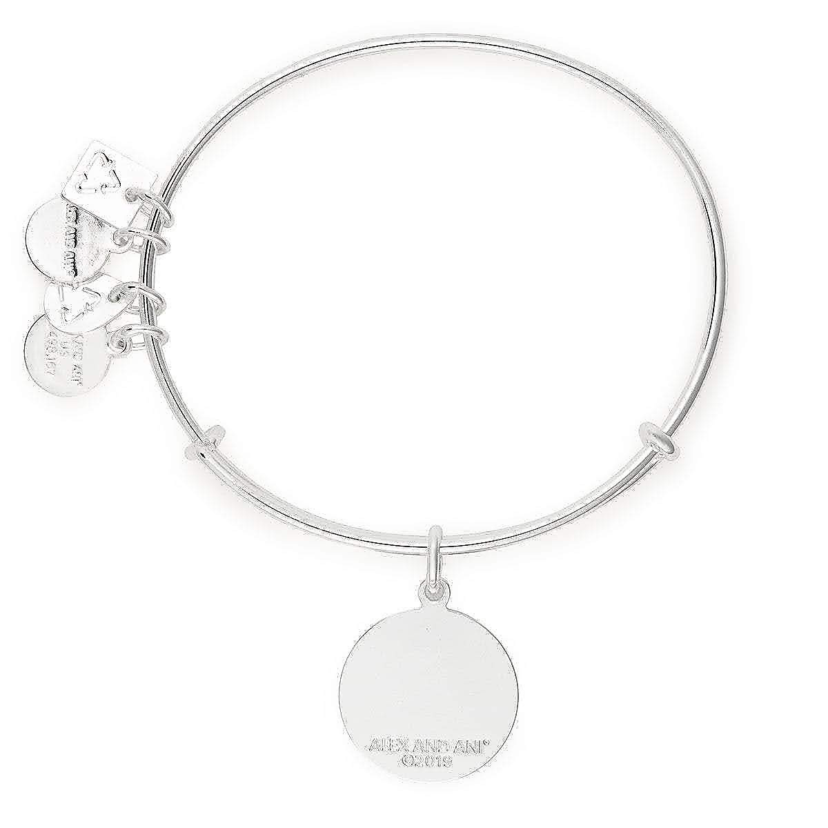 Alex and Ani Path of Symbols Expandable Bangle for Women, Arrows of Friendship Charm, Shiny Silver Finish, 2 to 3.5 in