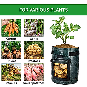 iPower 3-Pack 10-Gallon Potato Grow Bags Garden Waterproof Reusable Vegetable Plant Pots Container with Handle, Access Flap and Large Harvest Window, 10 Gallon, for Tomato, Carrot, Fruits