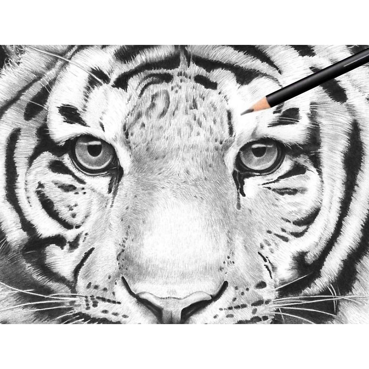 Pencil Buddies Sketch Pencils for Drawing, Triangular Drawing Pencils Set, 12 Pack Art Pencils for Drawing & Shading, Graphite Shading Pencils for Sketching, Adults & Kids, 8B-6H