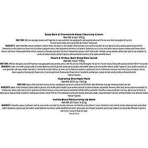 Burt’s Bees Skin Care Essentials Set