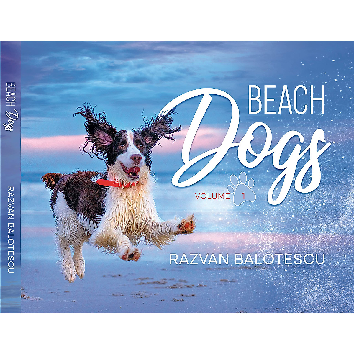 BEACH DOGS: A Coffee Table Photography Book of Joy for Dog Lovers