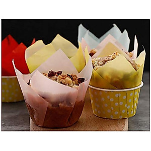 200 PCS Tulip Cupcake Liner Baking Cups Paper Cupcake and Muffin Baking Cups for Baby Showers,Weddings, Birthdays, Colourful and Natural (Ten Color)