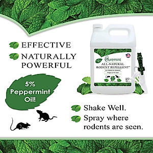 Puremint Rodent Repellent, Natural 5% Peppermint Oil Spray for Mice, Rats, Chipmunks and Rodents, Indoor and Outdoor, House and Car Engine Use, 128 fl oz Gallon