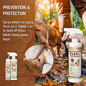 EcoVenger Flea & Tick Removal Spray 16oz for Dogs and Cats, Protects from Fleas, Mites, Ticks & Mosquitoes, eliminates+ Repels+ Housekeeping, Indoors/Outdoors, Plant-Based Formula Safe for Pets & Kids