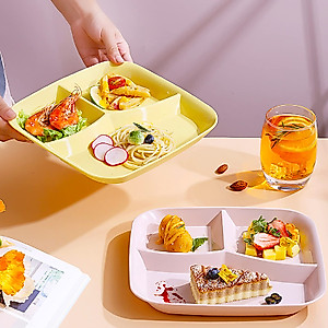 Nicunom 8 Pack Unbreakable Divided Plates, 10 Inch Portion Control Plates, Reusable 3-Compartment Dinner Plate For for Healthy Eating & Bariatric Diet, Microwave And Dishwasher Safe