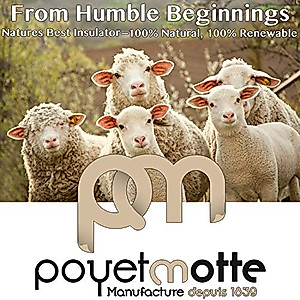 Poyet Motte Rivoli Solid 400GSM 100% Virgin Wool Blanket, Medium/Heavy Weight, Machine Washable (Natural Solid, Full/Queen Size)