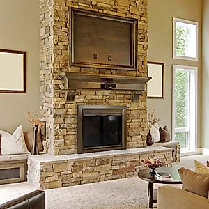 Pleasant Hearth CA-3202 Cahill Fireplace Glass Door, Antique Brass, Large