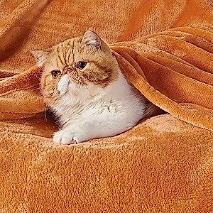 Bedsure Fleece Blanket Throw Blanket Orange - 300GSM Throw Blankets for Couch, Sofa, Bed, Soft Lightweight Plush Cozy Burnt 0range Blankets and Throws for Toddlers