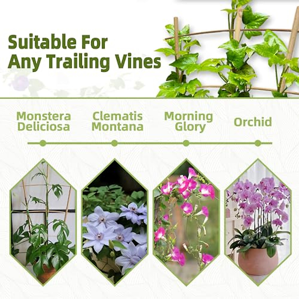 5 Pack 16" Bamboo Trellis for Climbing Plants-Natural Garden Ladder Trellis, Fan -Shaped Support Trellis for Potted Plant Decor in Door