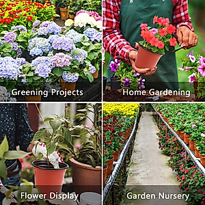 Augshy Plant Pots,40 Pcs 4" Plastic Plant Nursery Seed Starting Pots Nursery Pots for Succulent Seedling Cutting Transplanting