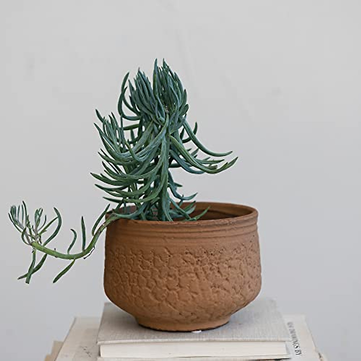 Creative Co-Op Boho Stoneware Planter with Embossed Pattern, Terracotta