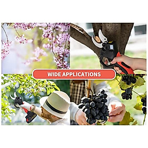 Cordless Pruning Shears, Electric Pruner, 2 Pack 21V Lithium Battery, SK5 Blades, 1.6 Inch Cutting Diameter (21V Pruner)