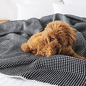 R.SHARE Soft Knit Waffle Throw Blanket for Couch Bed with Tassel, Thin Knitted Lightweight Cozy Woven for Sofa Travel, Cute Women Men, Big Twin Size, 60x80 inches, Black and White