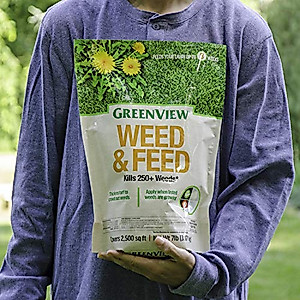 GreenView Weed & Feed - 7 lb. - Covers 2,500 sq. ft.