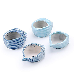 SUN-E 5.5 Inch Blue Conch Ocean Series Ceramic Base Serial Set Succulent Plant Pot Cactus Plant Pot Flower Pot Container Planter with Drainage Hole Gift Idea 4 in Set(Plants Not Included)