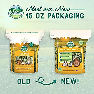 Oxbow Animal Health Orchard Grass Hay - All Natural Grass Hay for Chinchillas, Rabbits, Guinea Pigs, Hamsters & Gerbils - 15 oz.