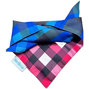 BOACQUEÑO (M Reversible Dog Bandana+Golden Rewards Premium Dog Treats Jerky 32oz