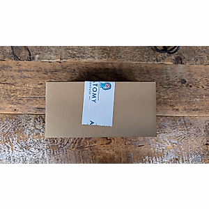 Anatomy Lab Venipuncture Practice Kit with Wearable Simulation Arm Pad Model IV + Supplemental Injection Skill Supplies Kit Clinical Nursing Training, 65 Piece Bundle